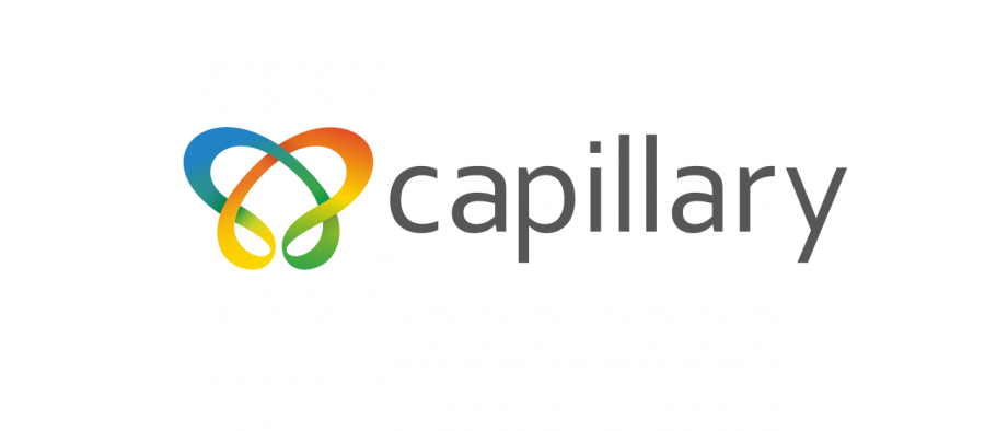 Capillary Technologies India Ltd IPO- Date, Price, GMP and Allotment